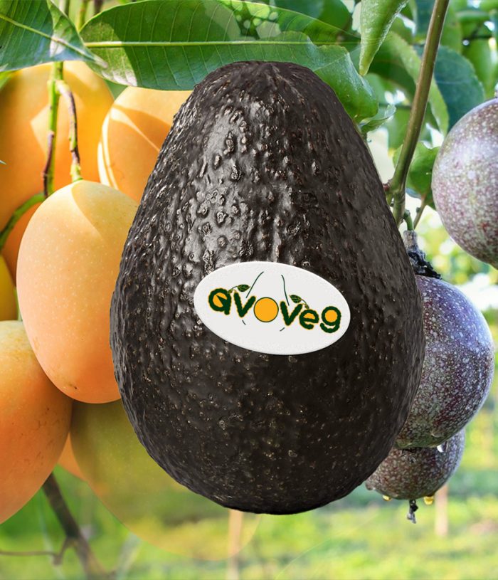 Produce - AVOVEG HEALTH LLC